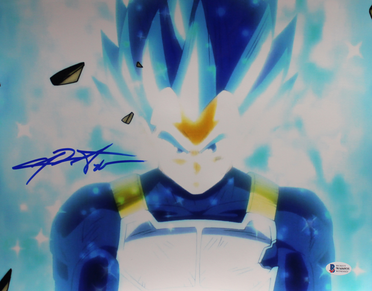 Christopher Sabat Vegeta